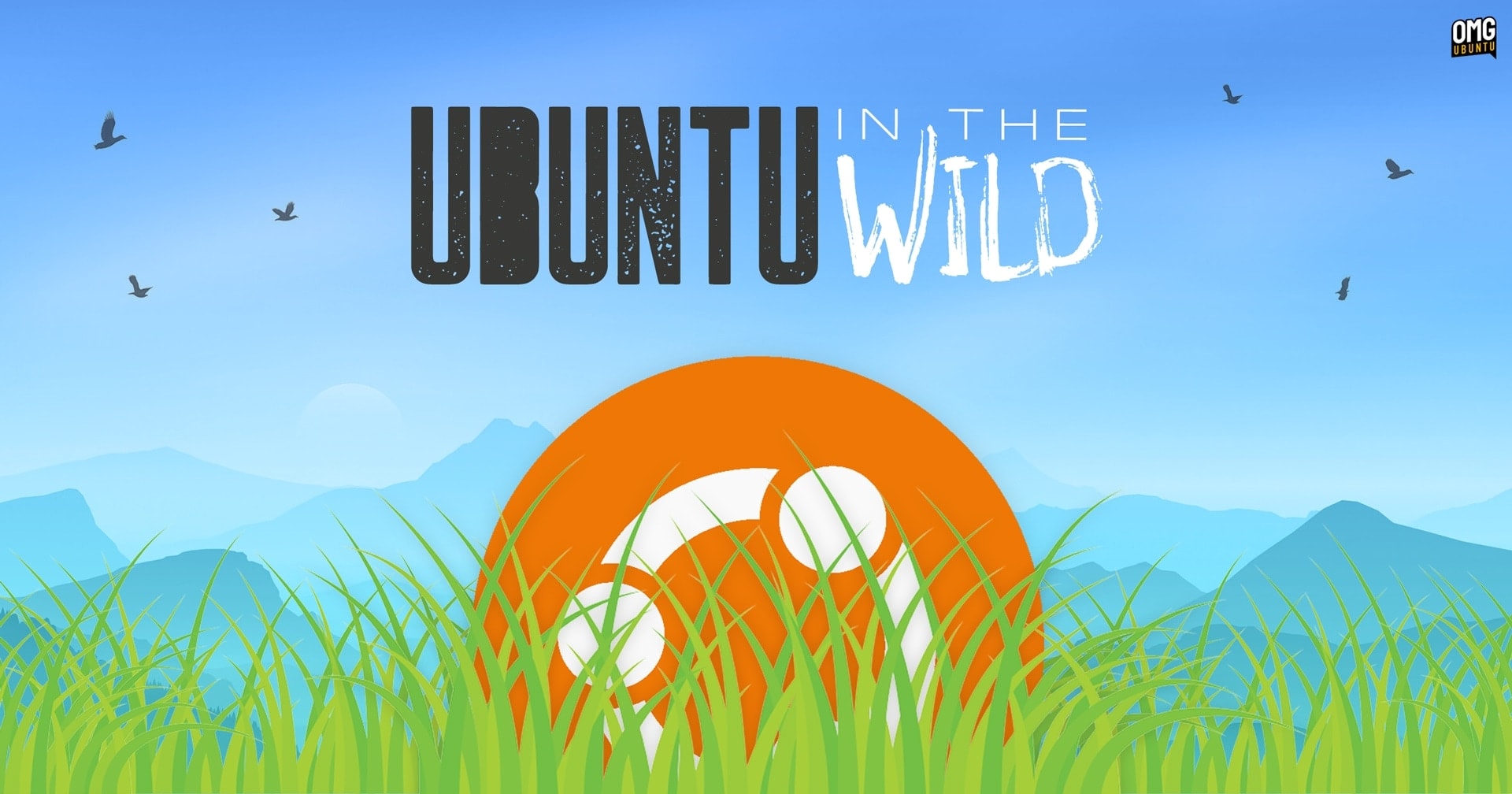 Ubuntu in the Wild: Distro Appears in Nature Film 'Nocturnes' - OMG! Ubuntu